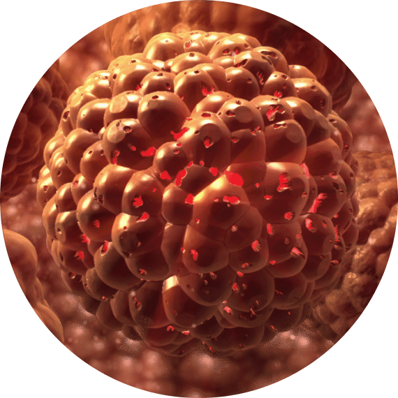 Sculptnation - BURN EVOLVED 2.0